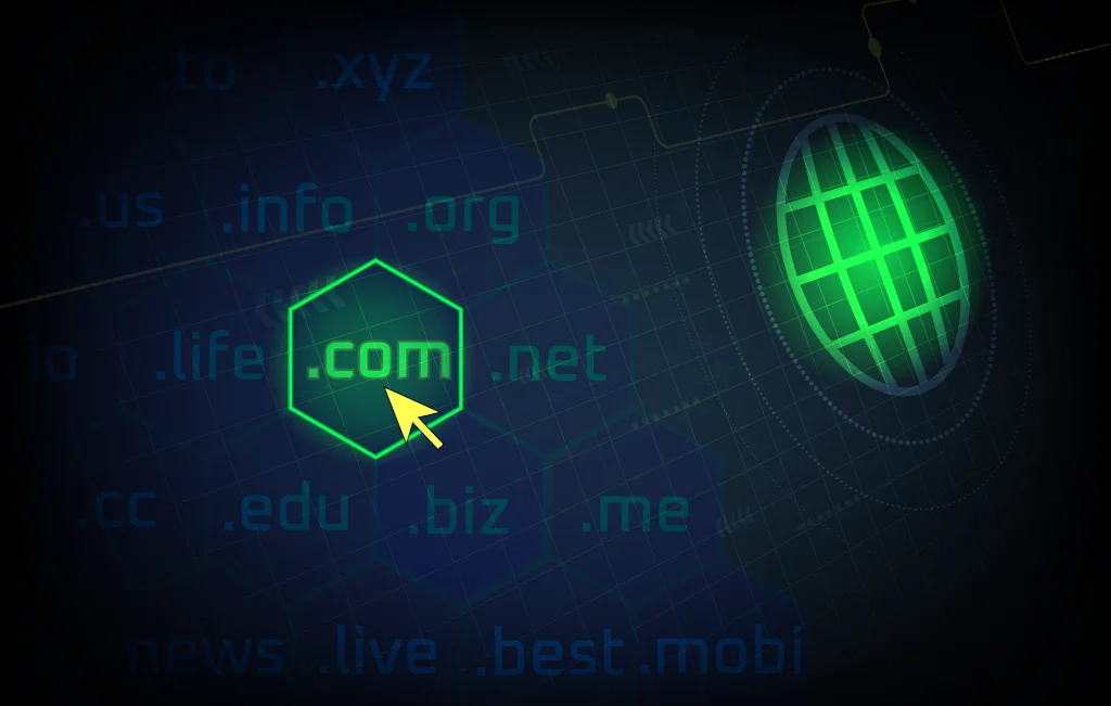 ניהול פורטפוליו דומיינים על ידי מערכות Webgate - איך זה עובד?